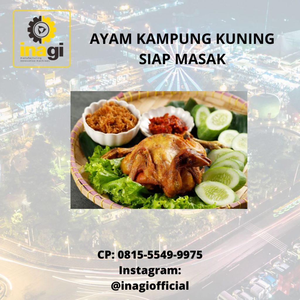 AYAM KAMPUNG KUNING SIAP MASAK - INAGI